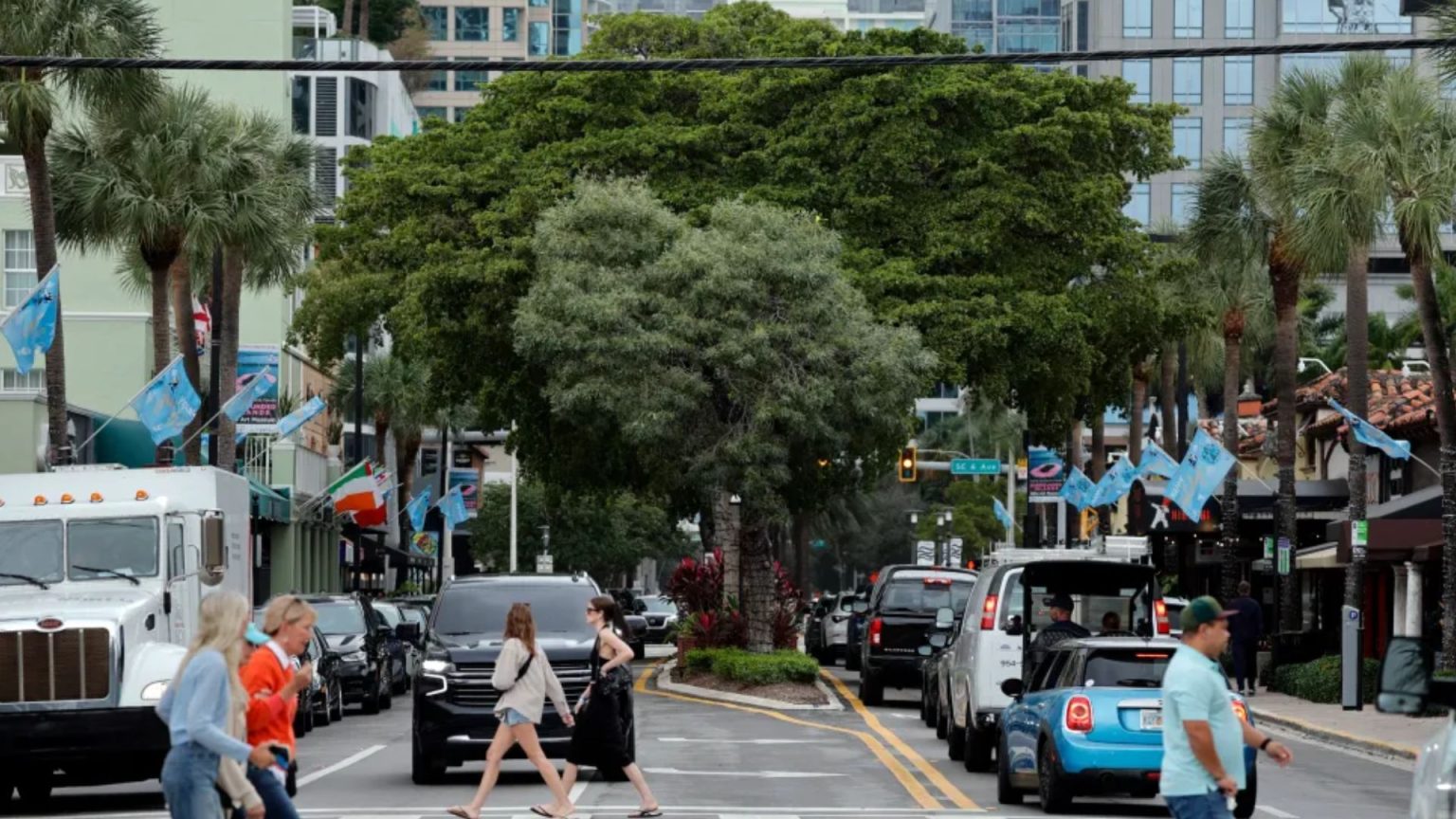 Fort Lauderdale officials plan to remove iconic black olive trees along ...